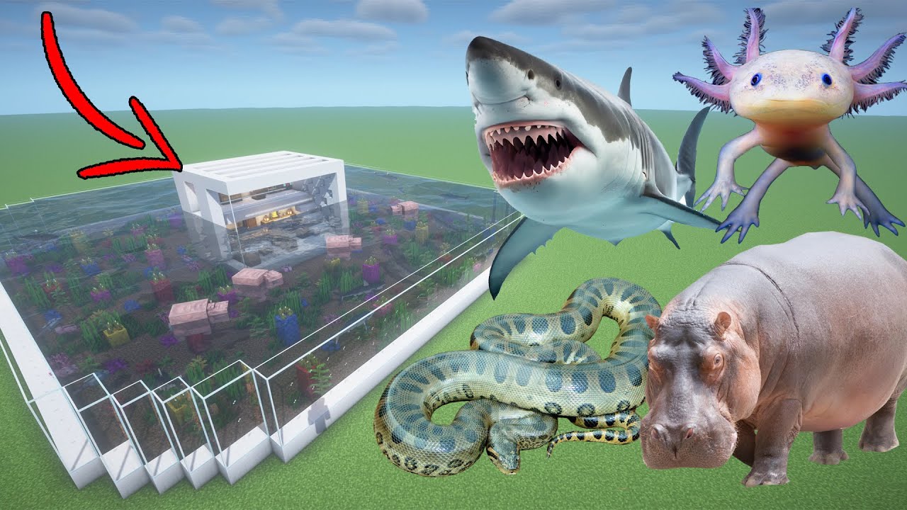 How To Live Inside an Anaconda, Axolotl, Hippo and Shark Farm in ...