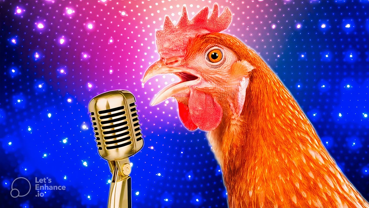 Funny chicken dance shorts video! #shorts #chickendance #chicken - YouTube