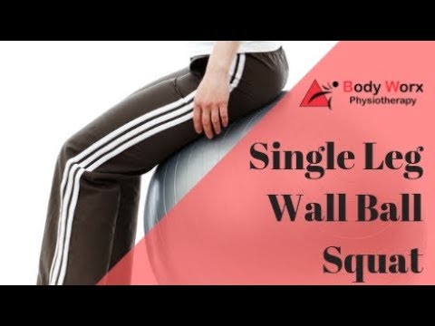 Single Leg Wall Ball Squat - BodyWorx Physiotherapy Newcastle - YouTube