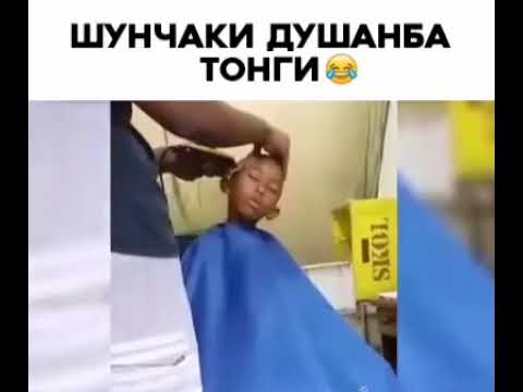 Eng kulgili videolar to‘plami.Prekollar dushanba tongi dagi holatlar qiziqarli videolar kanali