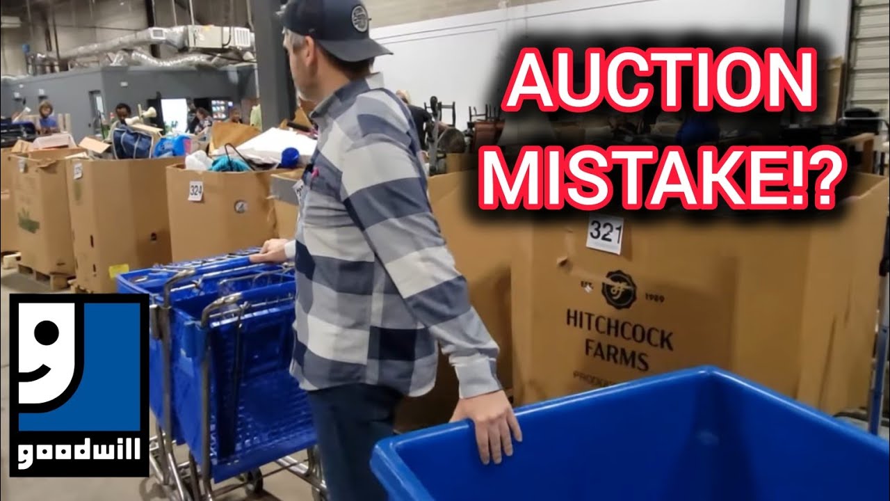Was This Goodwill Auction Worth It? - YouTube