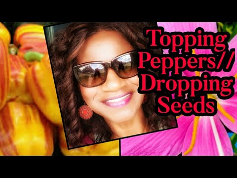 Topping My Peppers// And Dropping Seeds - YouTube