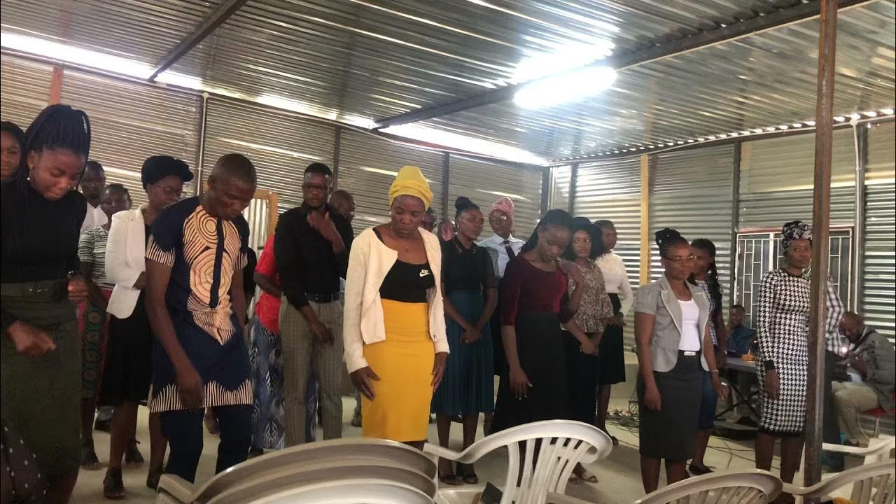 AFM Tree of Life — Omafimbo - YouTube