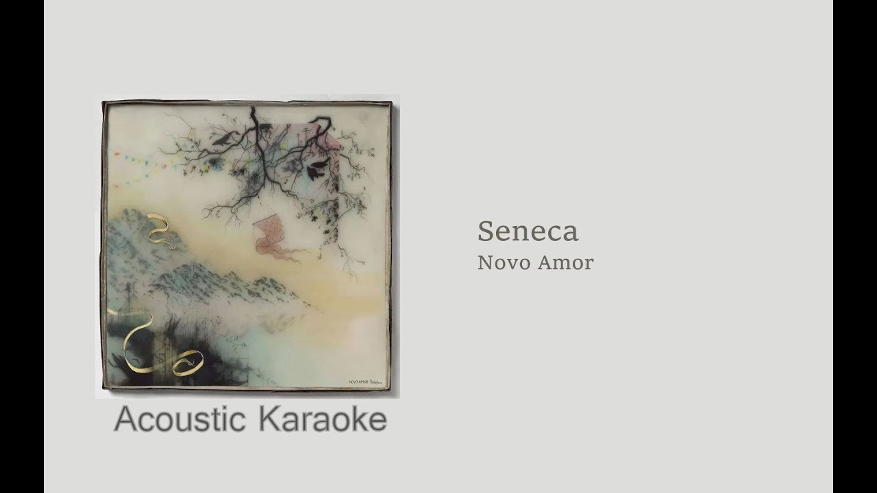 Novo Amor - Seneca - LOWER Key (Acoustic Karaoke) Instrumental Version ...