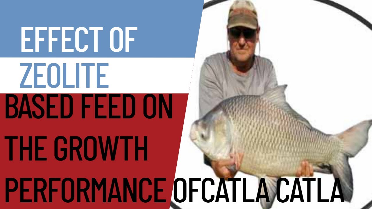 Zoology Lecture| Zeolite Based Feed on the Growth Performance of Catla ...