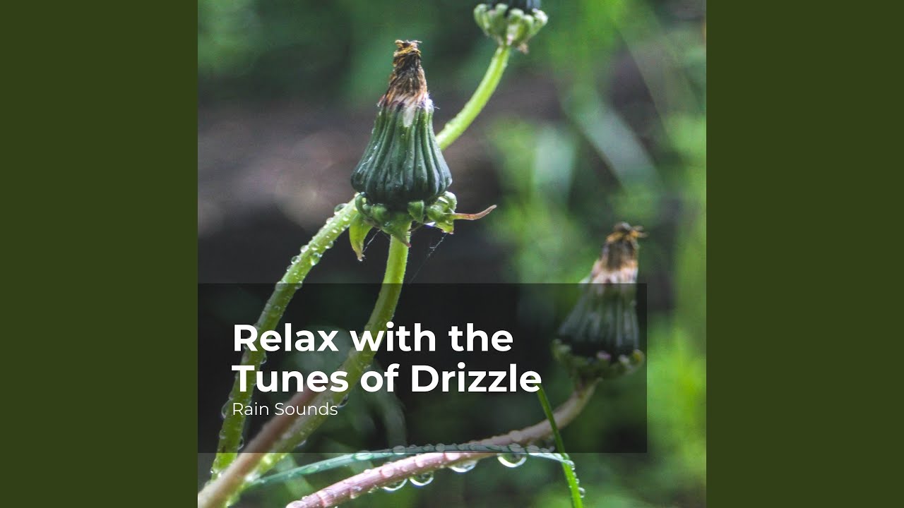 It's Raining Outside - YouTube