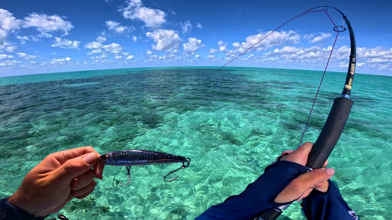 Fishing a TROPICAL Reef Flat Loaded with MASSIVE FISH!?! (Catch & Cook ...