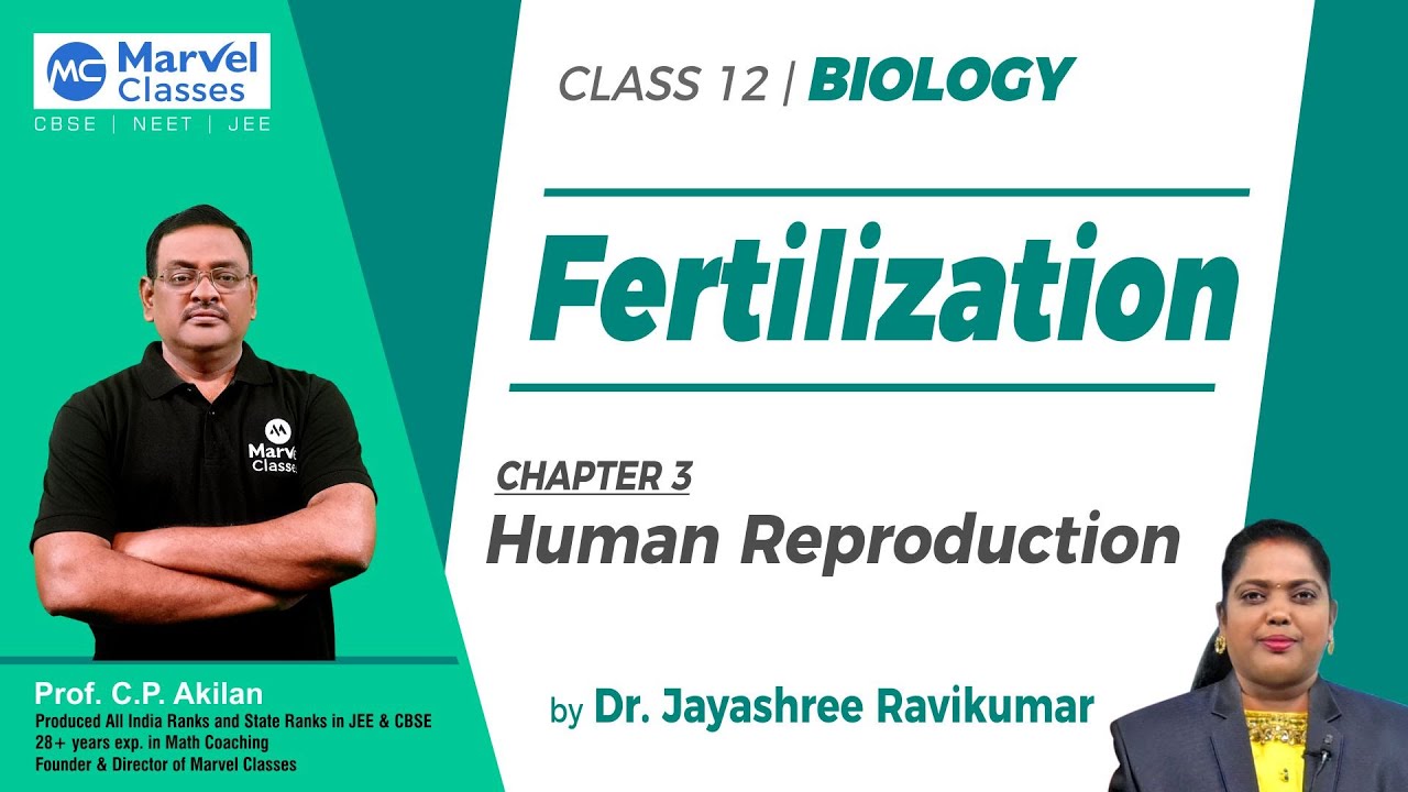 #MarvelClasses – Fertilization | Class 12 Biology | Chapter 3 - Human ...