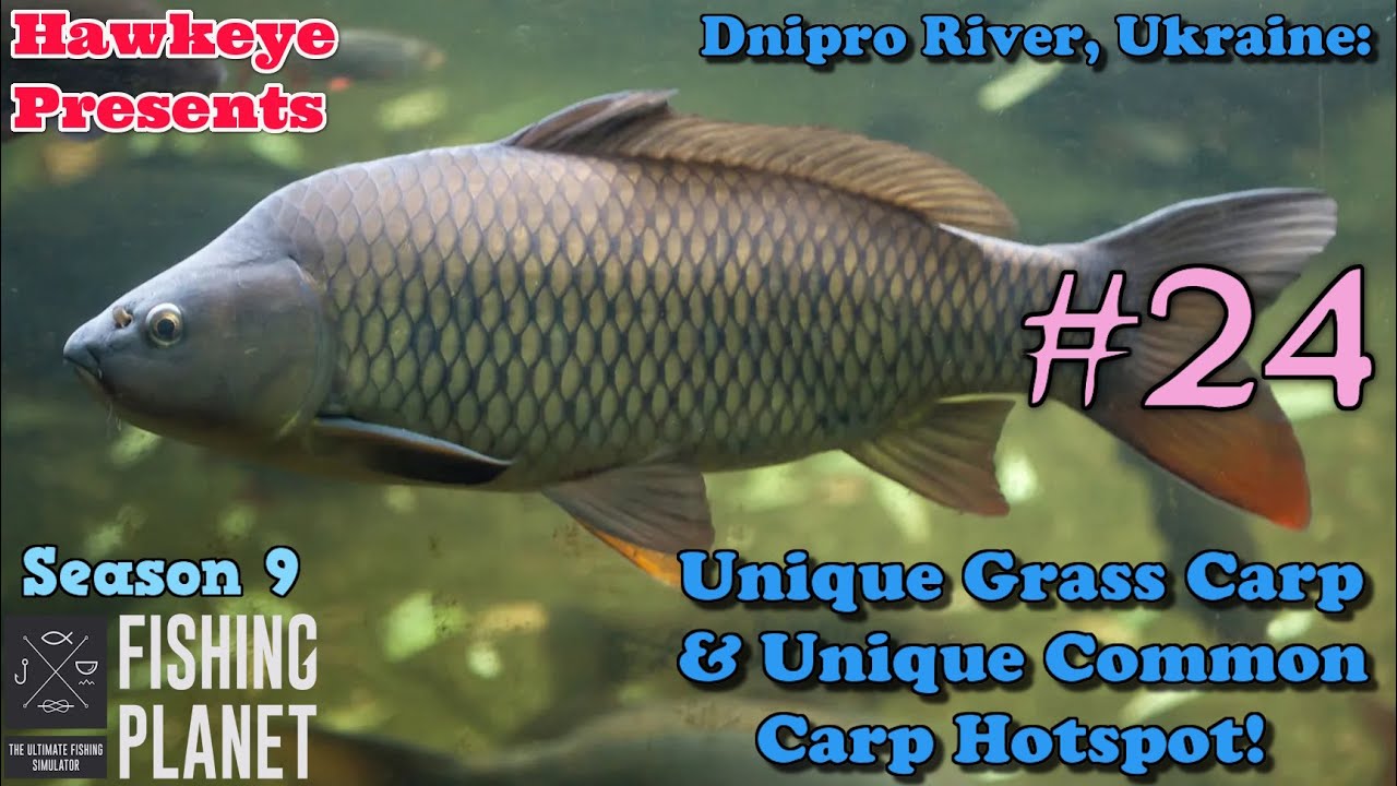 Fishing Planet S9 #24 - Dnipro River, Ukraine: Unique Grass Carp ...