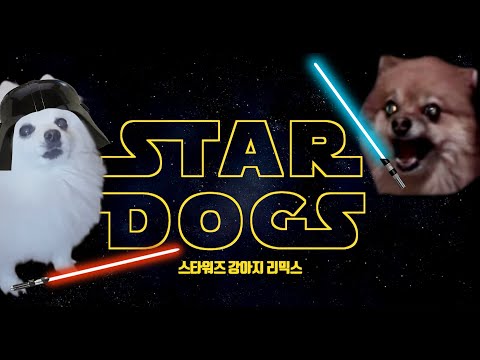 강아지 스타워즈 Star Wars Dog parody