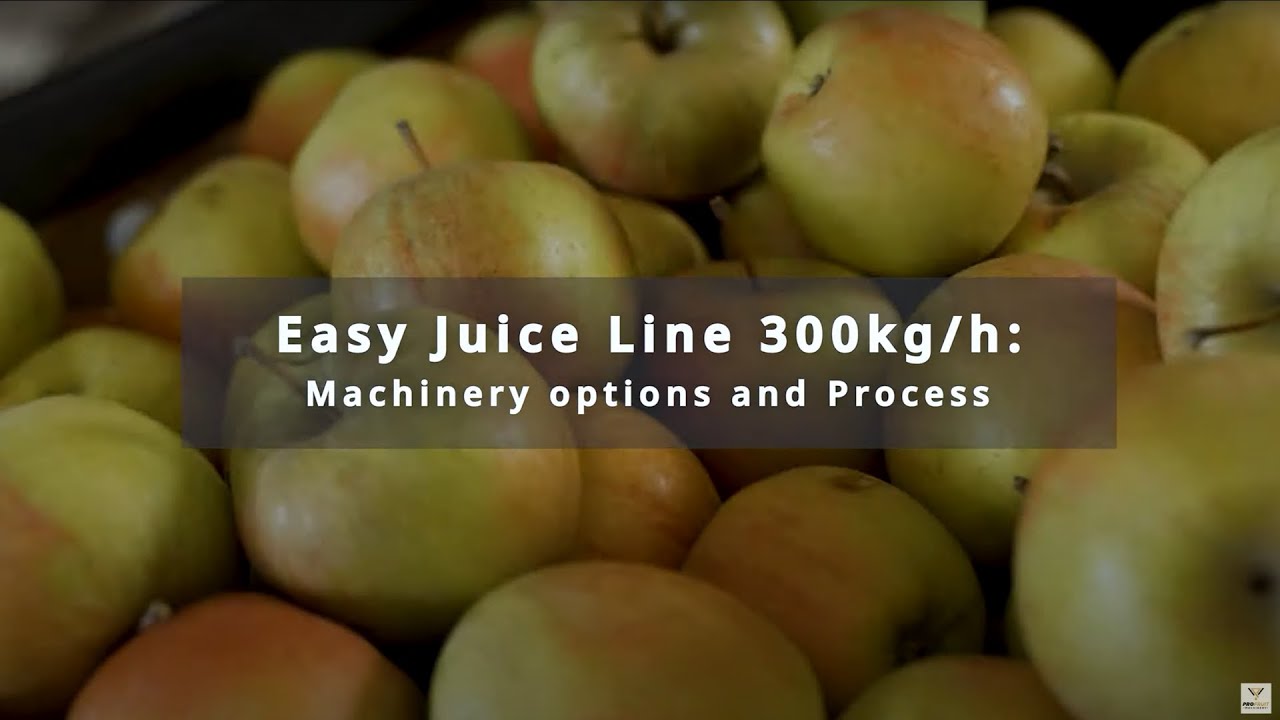 Easy Juice Line 300 kg/h: Machinery options and Process - YouTube