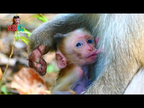 Cute baby Rockstar Mother Rozy is taking care and milk supply