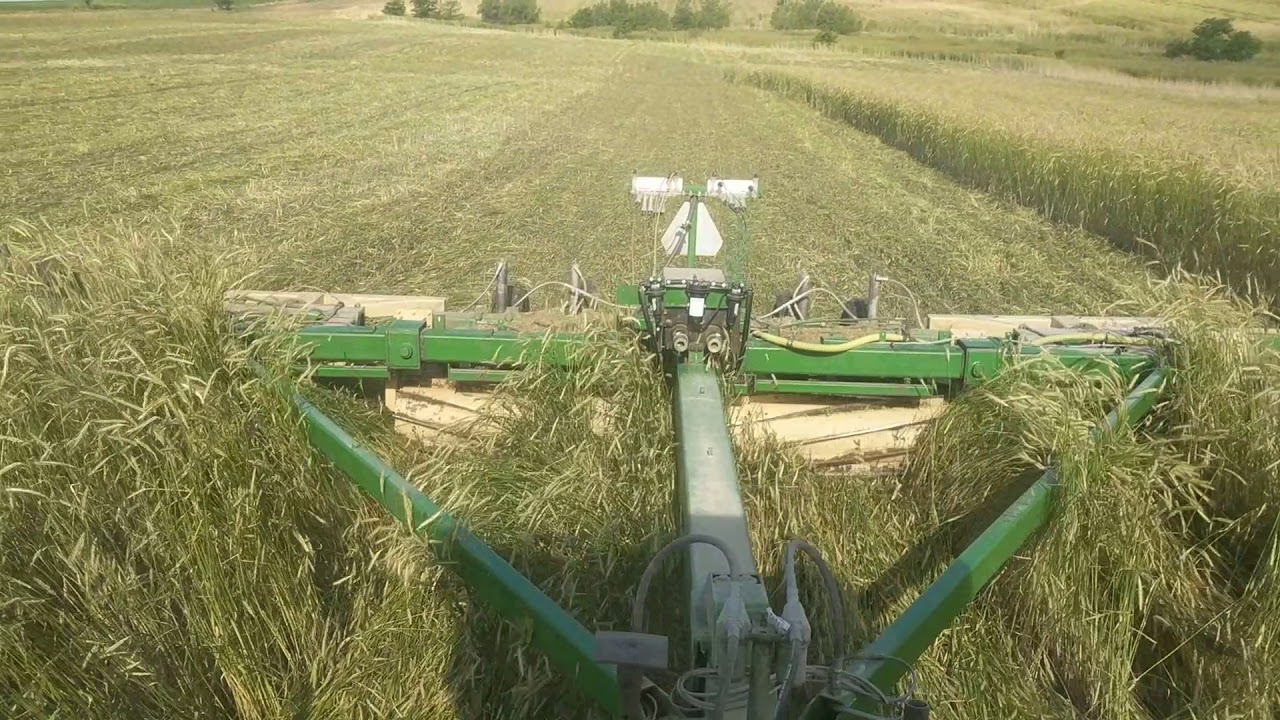 Crimping cereal rye with roller crimper on Kansas hills - YouTube