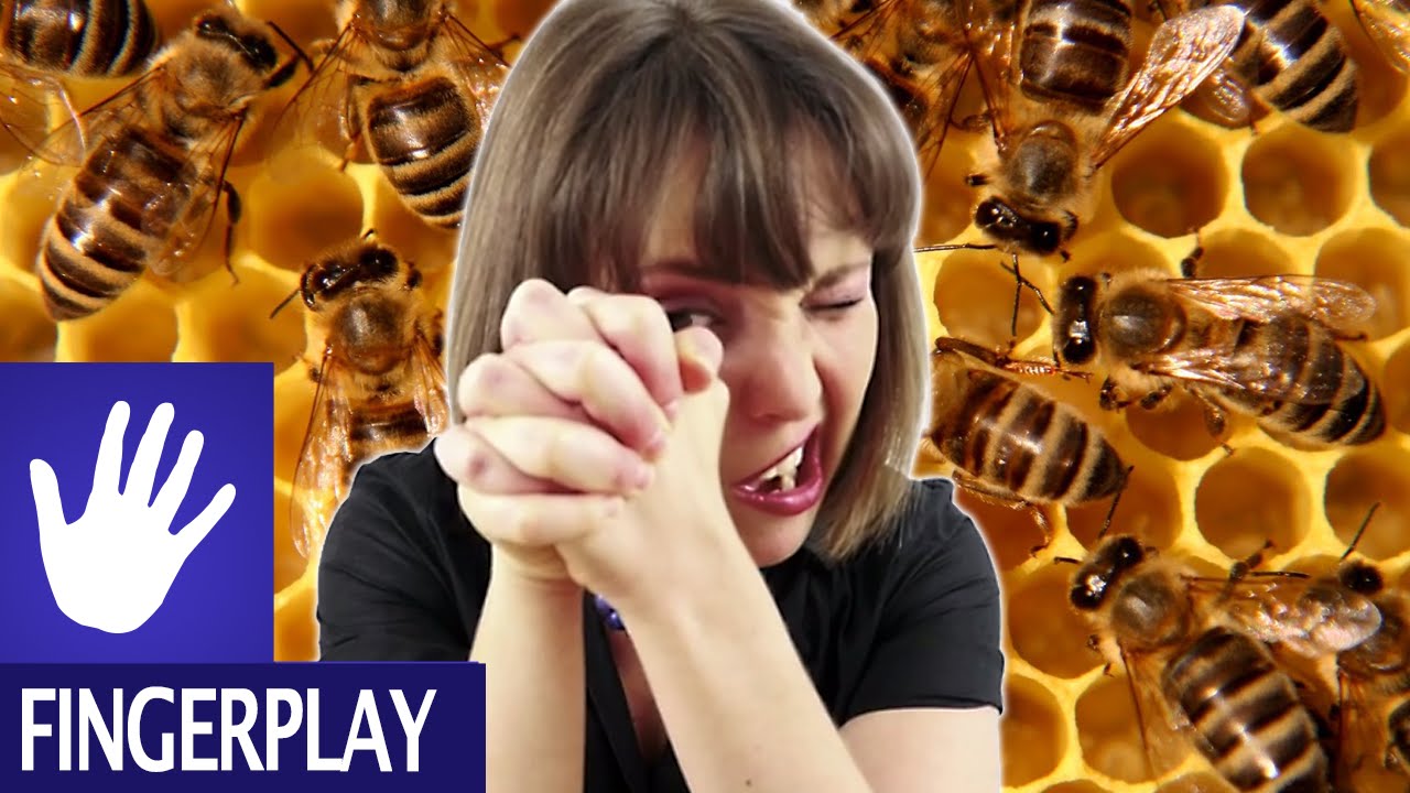 Here is the Beehive - Nursery Rhyme - by Alina Celeste - YouTube