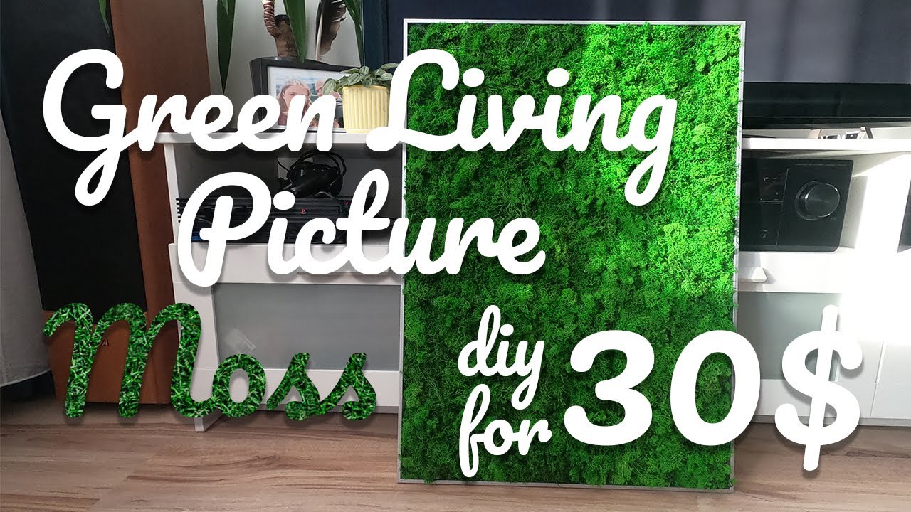 Green Living Picture - Moss - DIY for 30$ (best for home, gift, present ...
