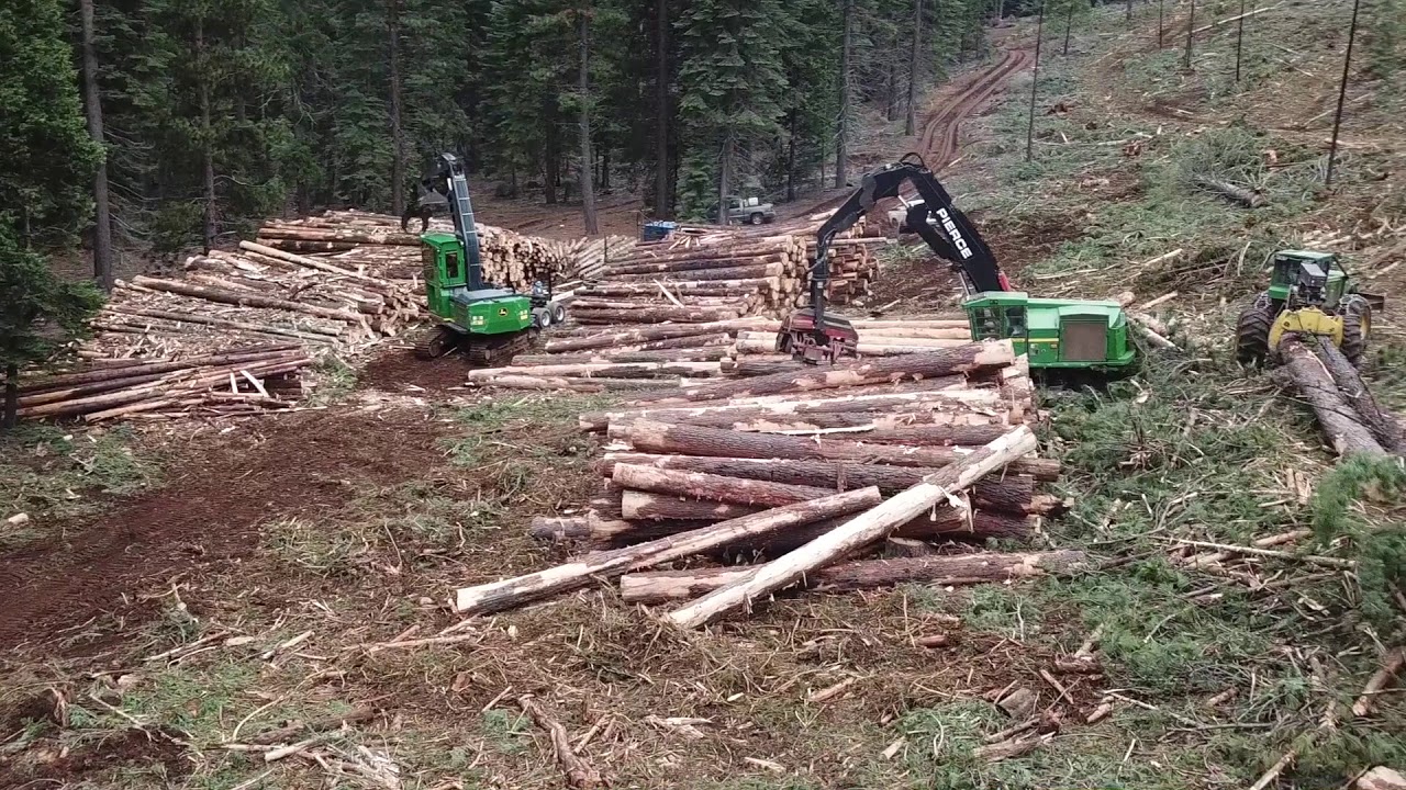 Throwback to spring rain log decks building up - YouTube