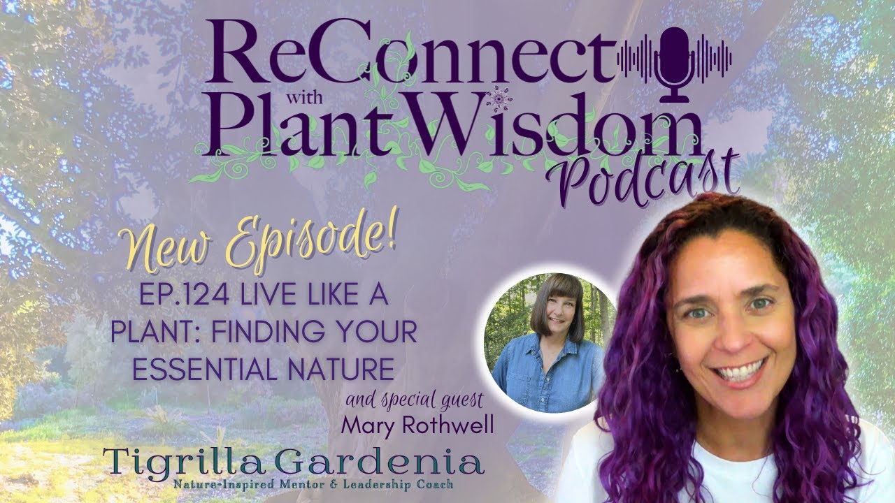 Ep.124 Live Like A Plant: Finding Your Essential Nature with Mary ...