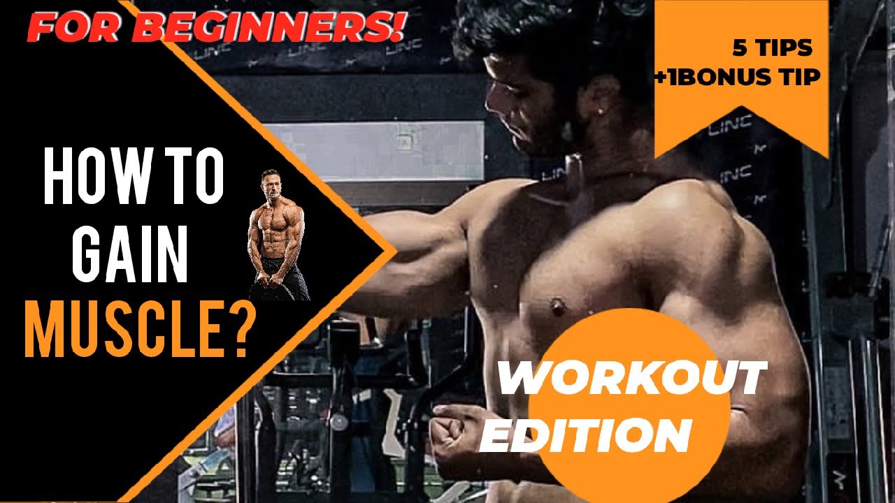 HOW TO GAIN MUSCLE | BEGINNERS WORKOUT MISTAKE | 5 EFFECTIVE TIPS🎯 ...