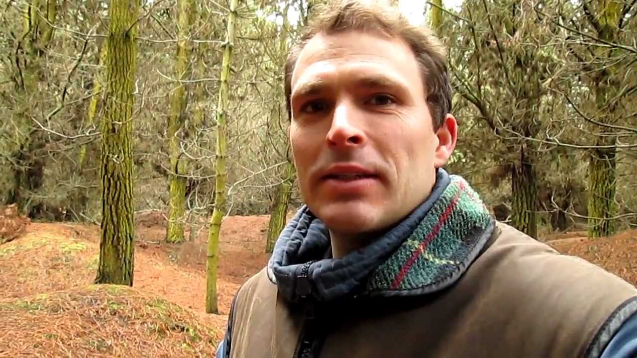 A Message of Love and Forgiveness ~ Adam R. B. Reeve - YouTube