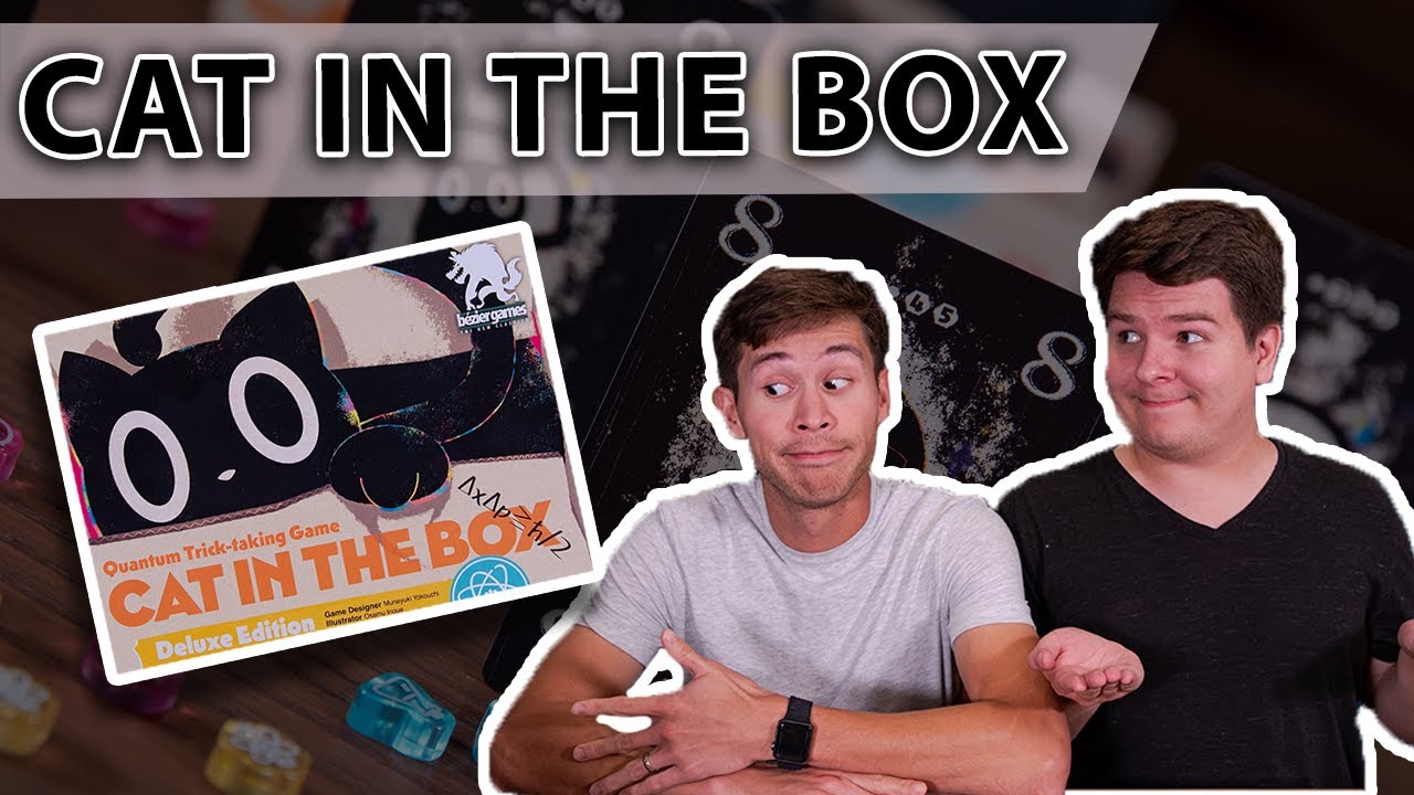 Cat in the Box | Is it a PARADOX? | Board Game Overview and Review ...