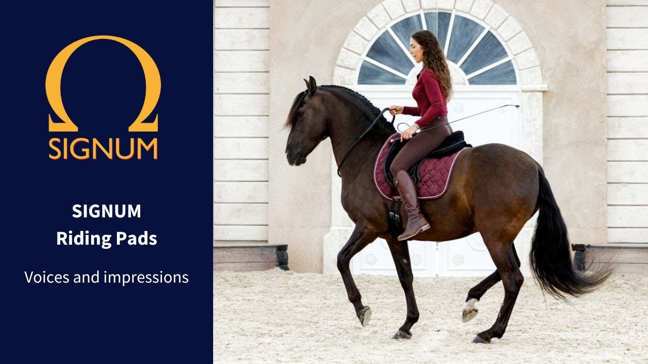 SIGNUM Riding Pads - YouTube