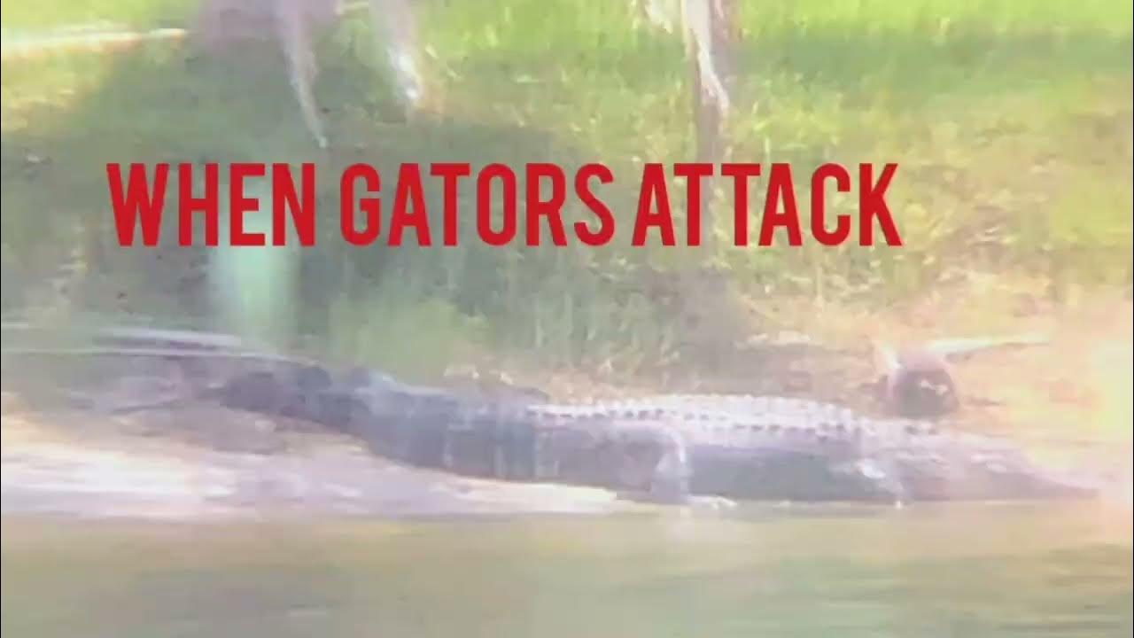 When a Gator Attacks and kills an 85 yr old woman 😰 lite version - YouTube