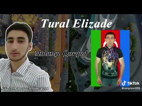 Tural Elizade Idmanci Qorqud