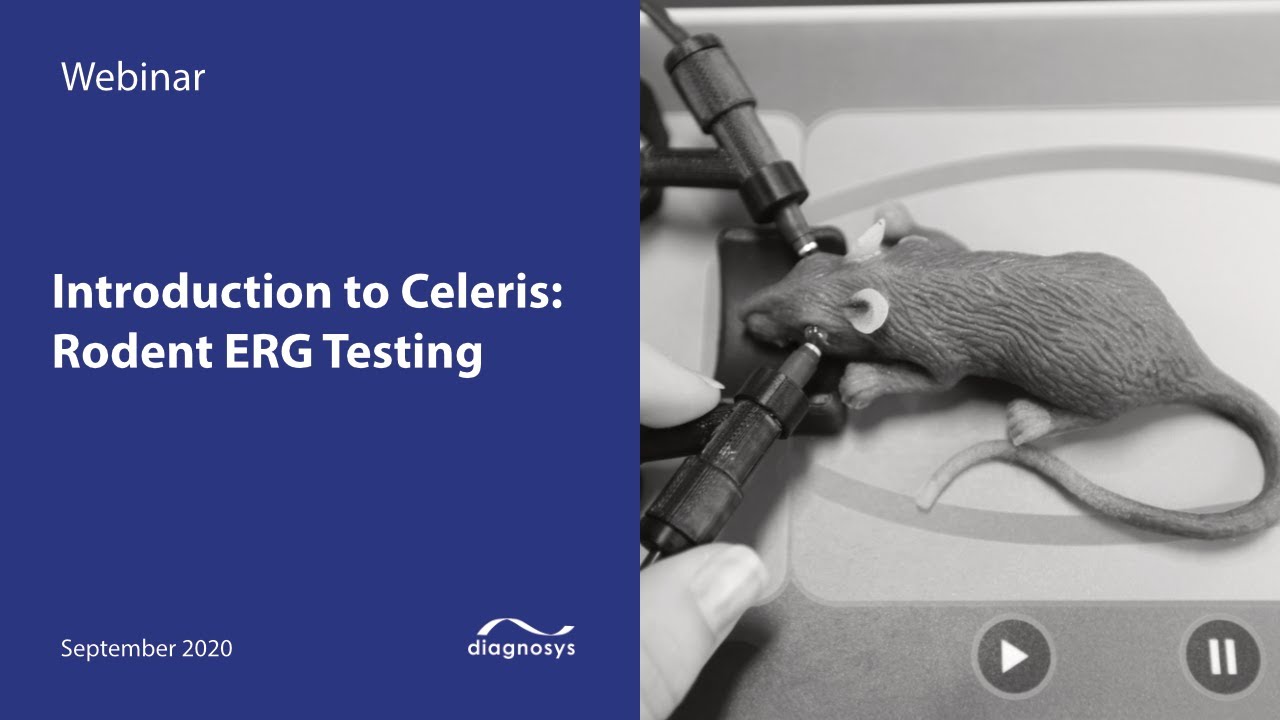 Introduction to Celeris: Rodent Electroretinography (ERG) Testing - YouTube