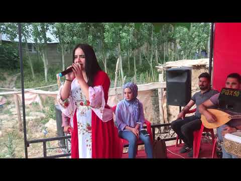 Murat Başkale & Hozan Mariya ) Süper Halay milane 2019 YENİ HD part 2