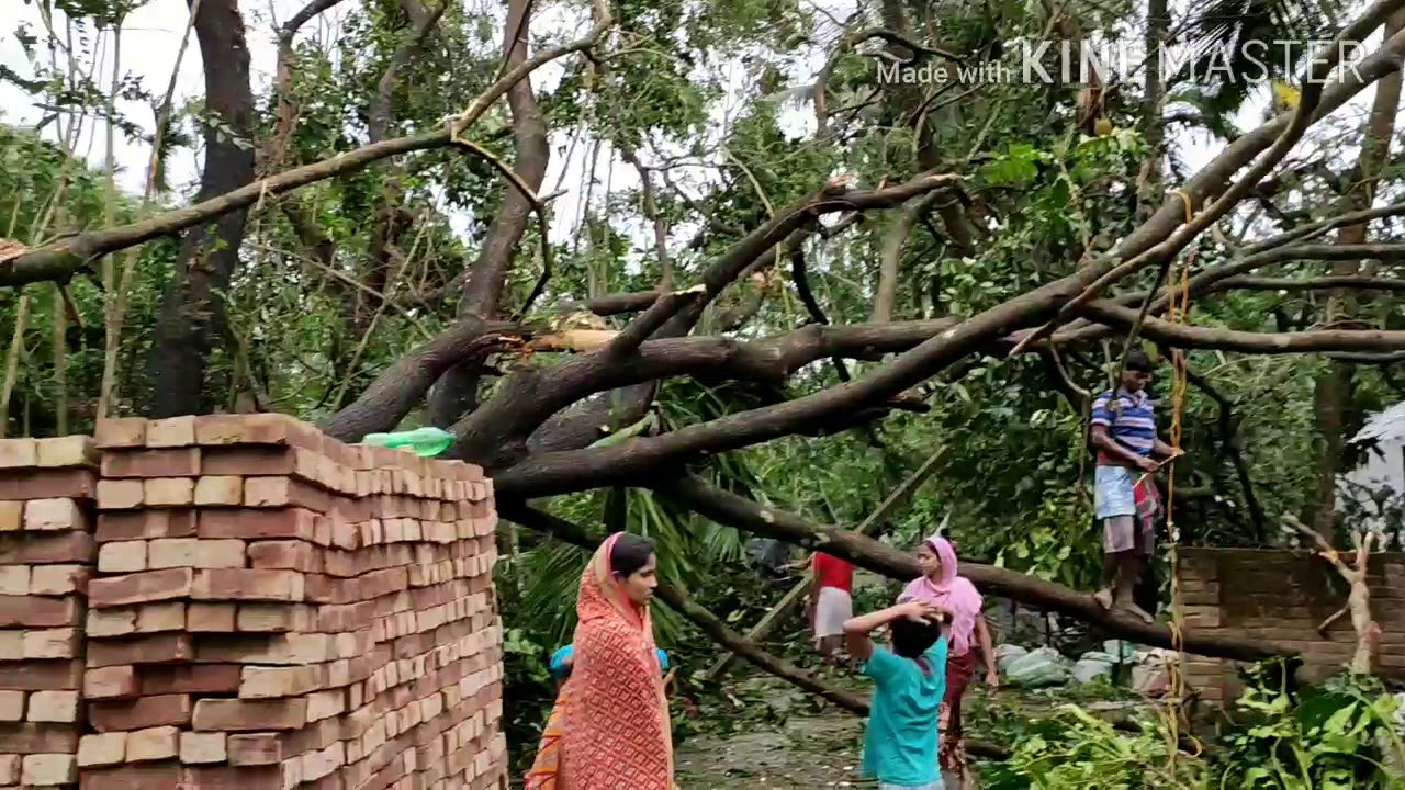 Disaster after Amphan Cyclone at my village... - YouTube