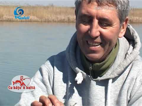 cu batu n balta la Salcuta 30 03 2019 - YouTube