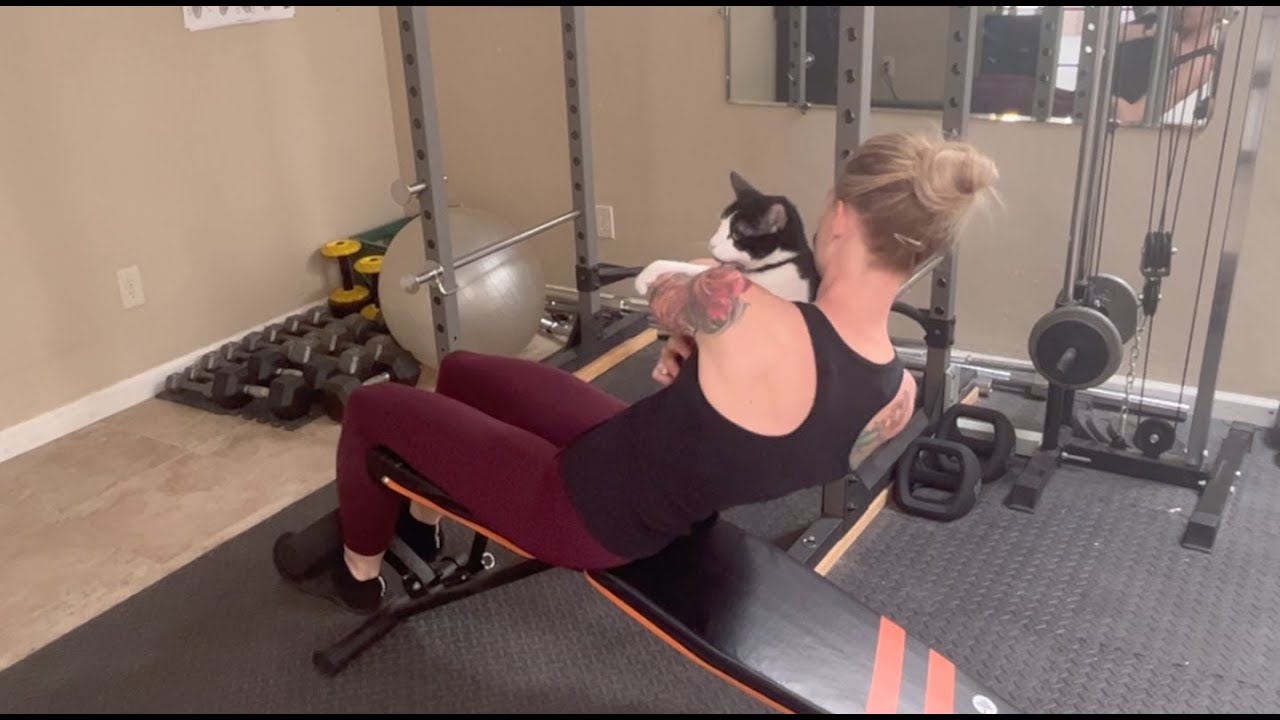 Decline Bench Russian Twists - YouTube