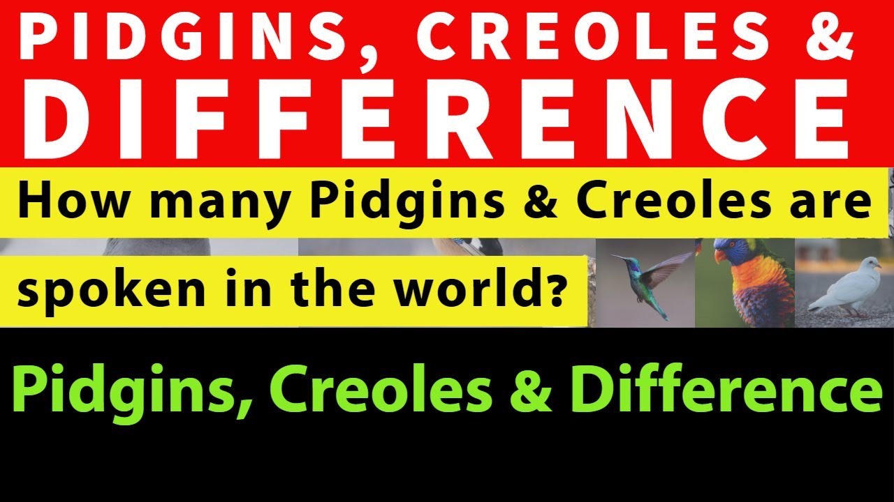 Pidgin | Lexifier Languages | Creole | Pidgins and Creole Grammar and ...