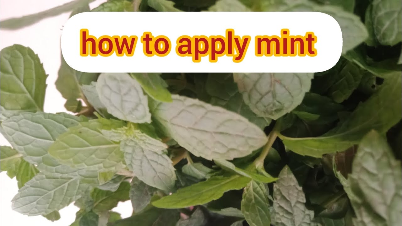 how to apply mint - YouTube