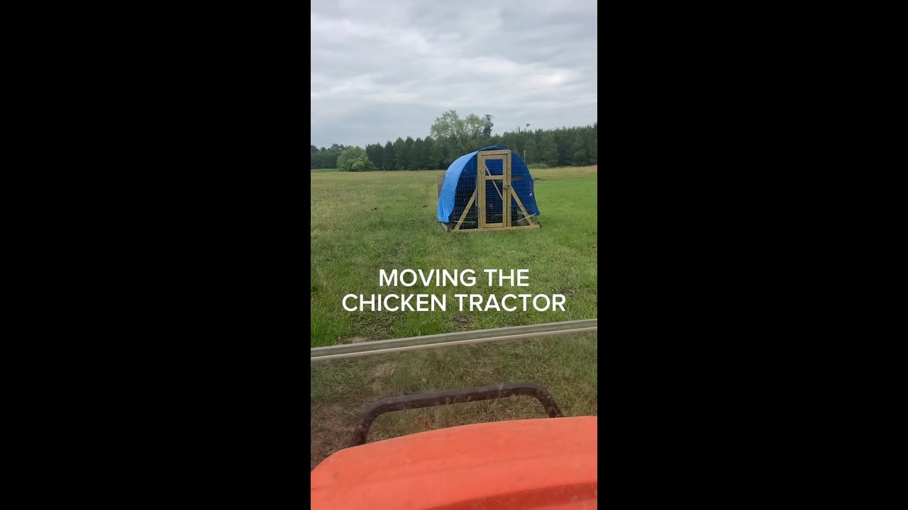 Moving The Chicken Tractor - YouTube