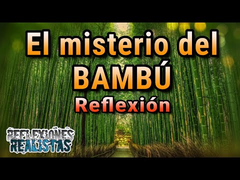 El misterio del BAMBÚ - Reflexión - YouTube