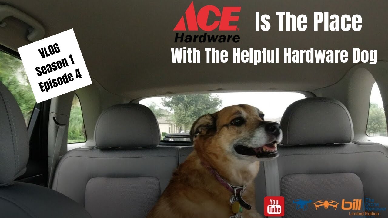 ACE Is The Place With The Helpful Hardware Dog VLOG Season 1 Episode 4 ...