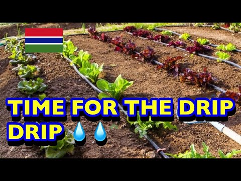 BAG drip irrigation system has arrived - YouTube