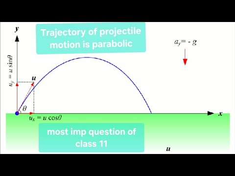Trajectory of projectile motion is parabolic| class 11 physics| most ...
