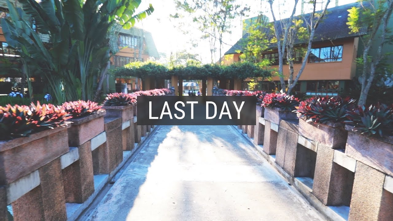 The Log Reel - Last Day Before Break - YouTube