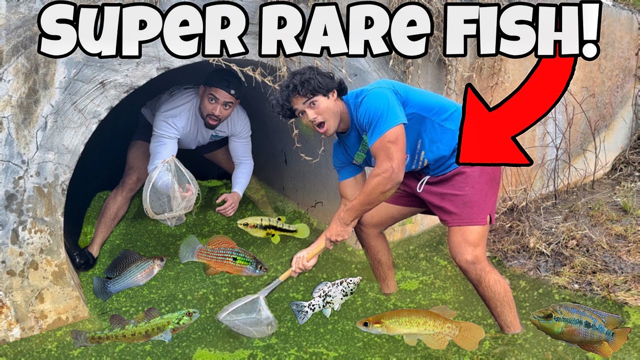 Netting SUPER RARE Fish in Hidden Tunnel!! - YouTube
