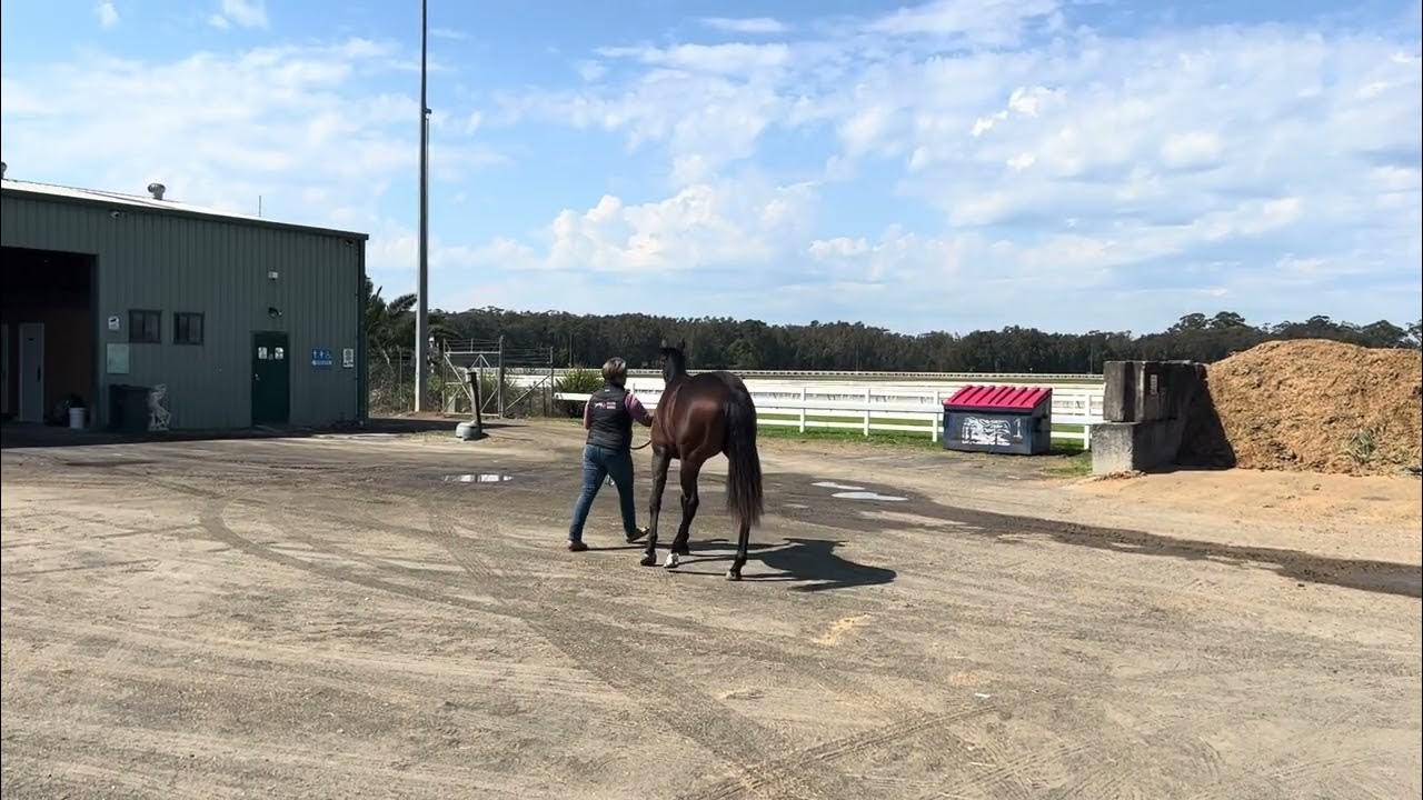 Shalaa at KB's - YouTube