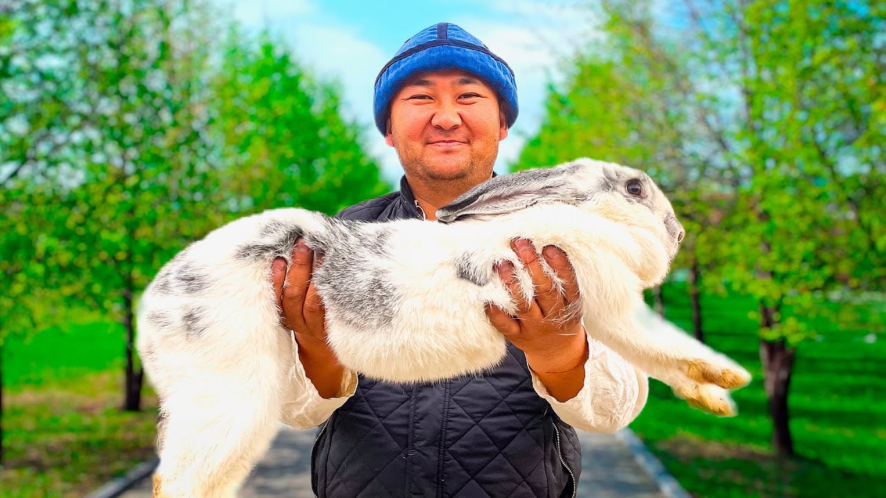 GIANT RABBIT BAKED IN THE OVEN 🐇🐇🐇 || NATURE COOKING || FOOD ASMR - YouTube