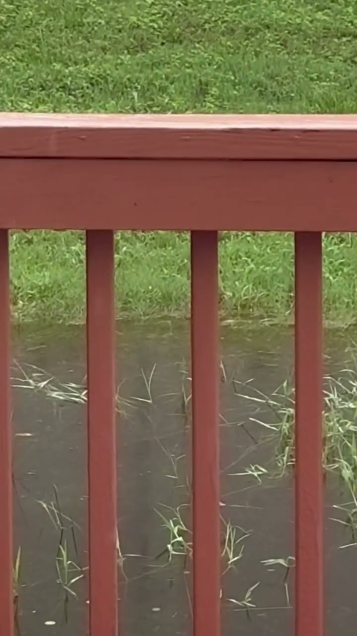 Live update weather advisory Florida Clearwater storm - YouTube