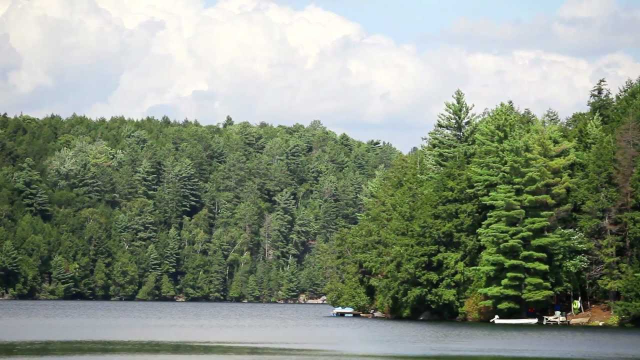 Come to Know Haliburton Forest - YouTube