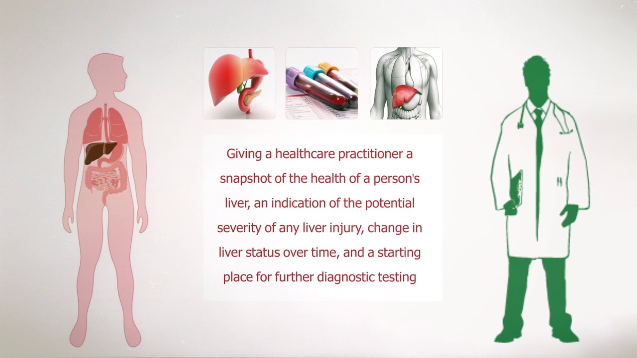 Everything You Need To Know Liver Panel YouTube everything-you-need-to-know-liver-panel-youtube