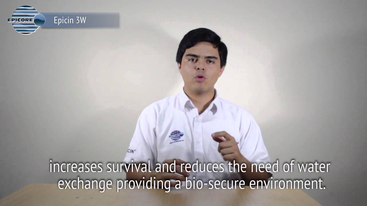 EPICIN 3W (Subtitulado) - YouTube