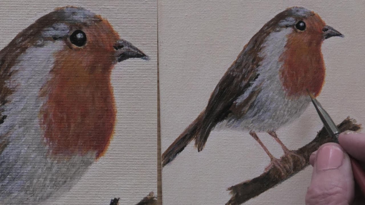HOW TO PAINT A CUTE ROBIN BIRD. Acrylic Painting Tutorial. #art # ...