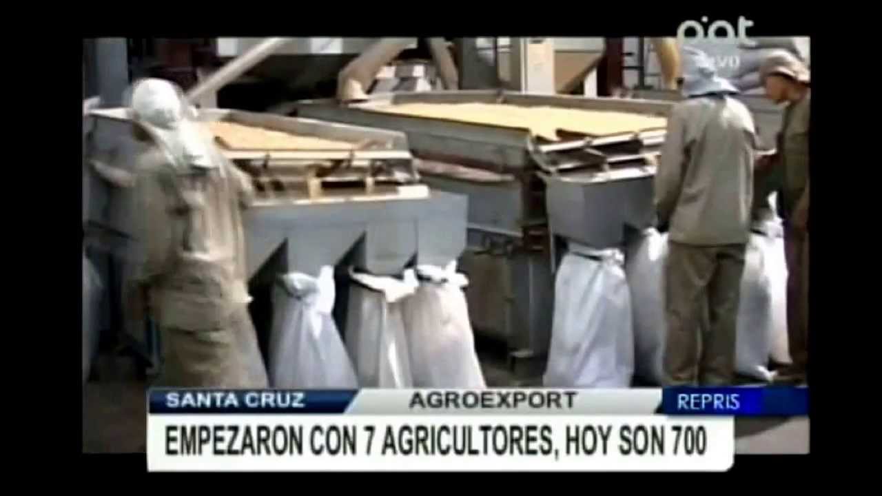 Reportaje PAT a AgroExport (Agroexportaciones del Sur SRL) - YouTube