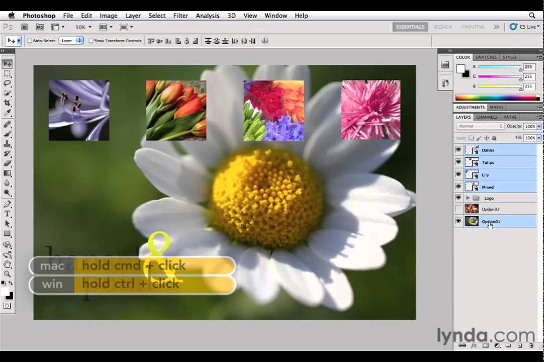 Adobe Photoshop CS5 Tutorial - Align - CH 11 - lesson 01 of 13 - YouTube